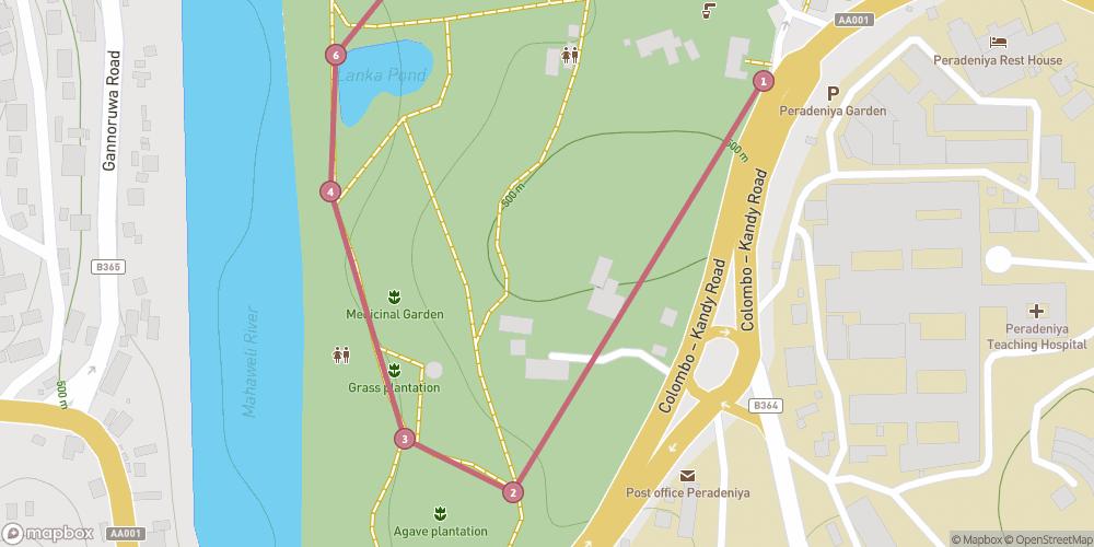 Kandy Botanical Gardens - Go Jauntly