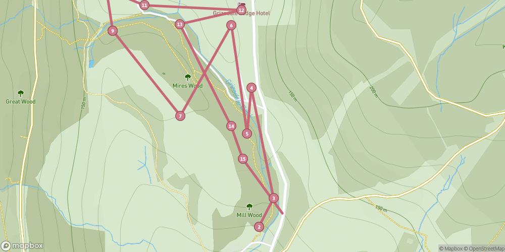 Grizedale Millwood Trail - Go Jauntly
