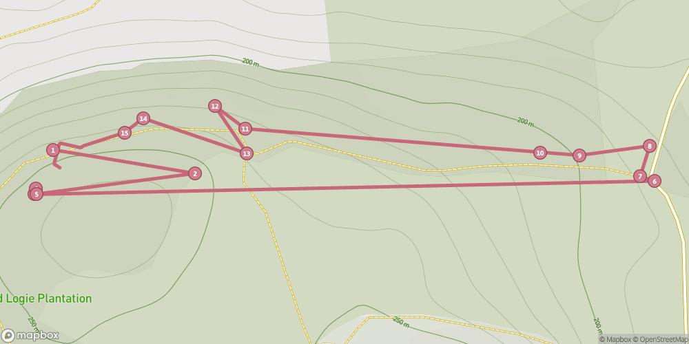 Lindor Curative Forest - Go Jauntly