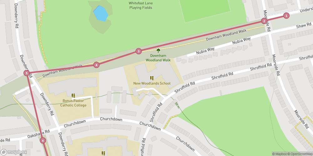 Downham Woodland Walk - Go Jauntly