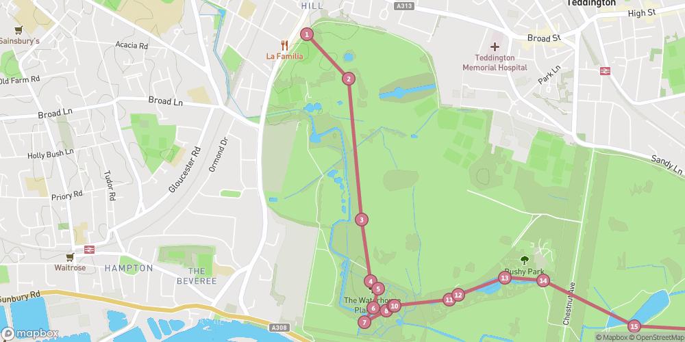 Woodland Gardens, Bushy Park - Go Jauntly