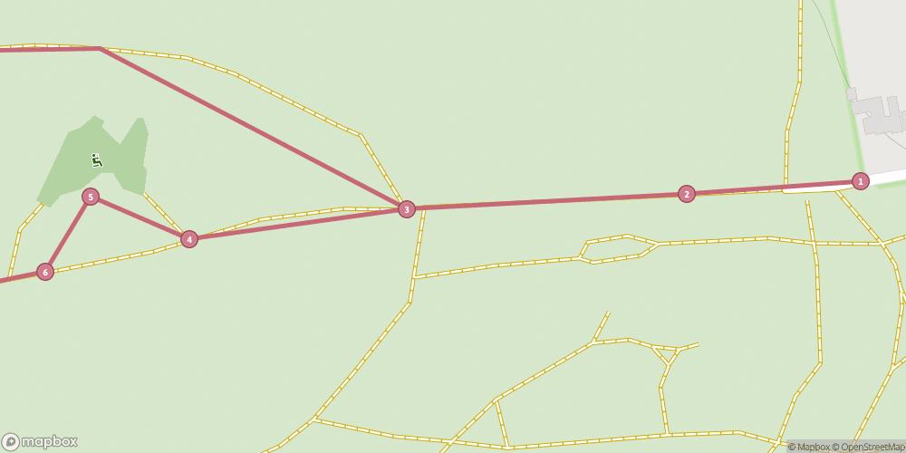 Awe and Wonder in Worlebury Woods - Go Jauntly