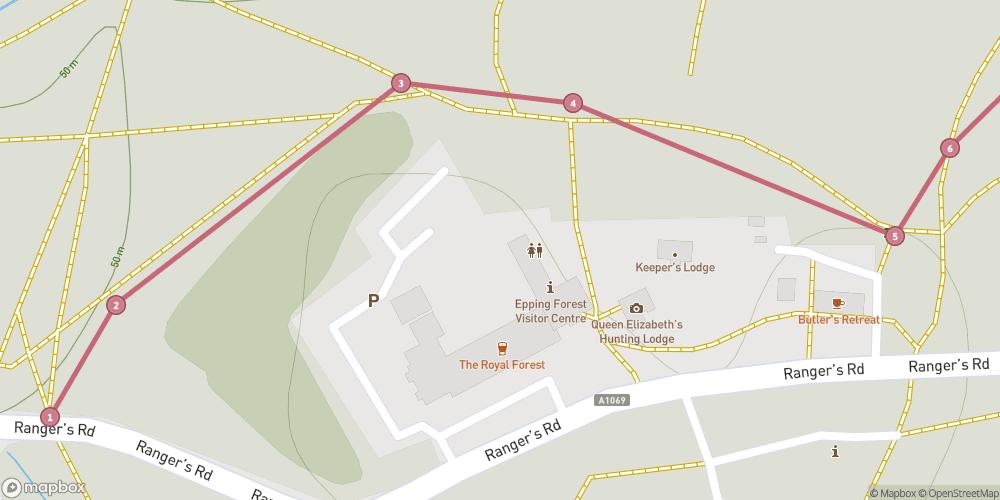 Epping Forest Centenary - Part 2 - Go Jauntly