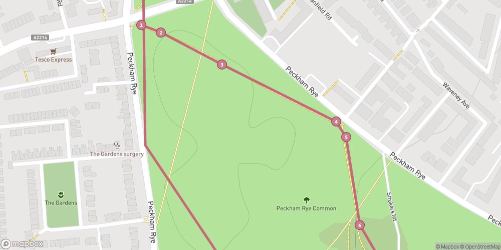 Peckham Rye Common wander - Go Jauntly