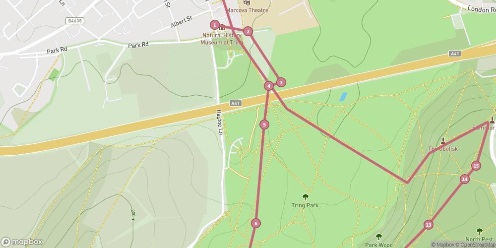 Into the woods at Tring Park - Go Jauntly